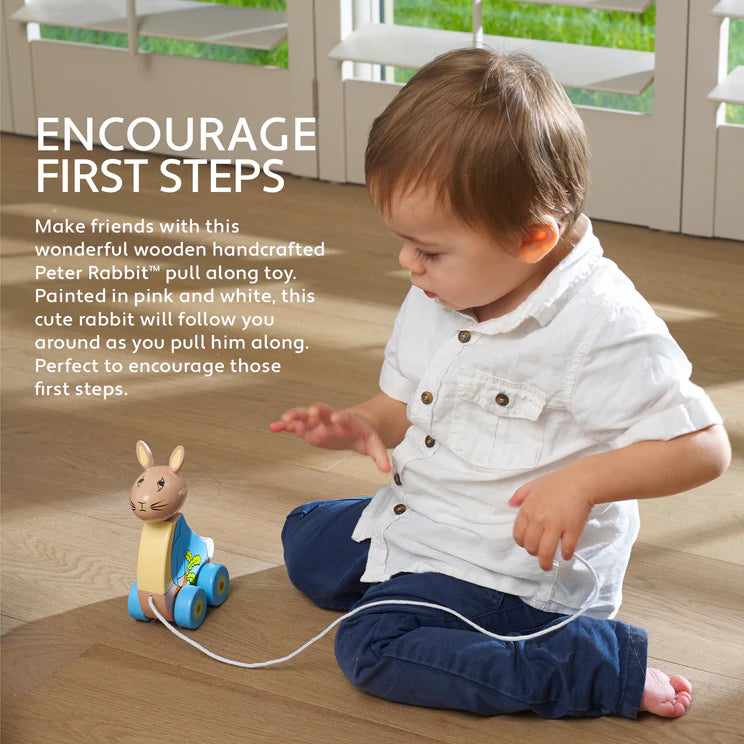 Peter Rabbit™ Pull Along – Wishfairy